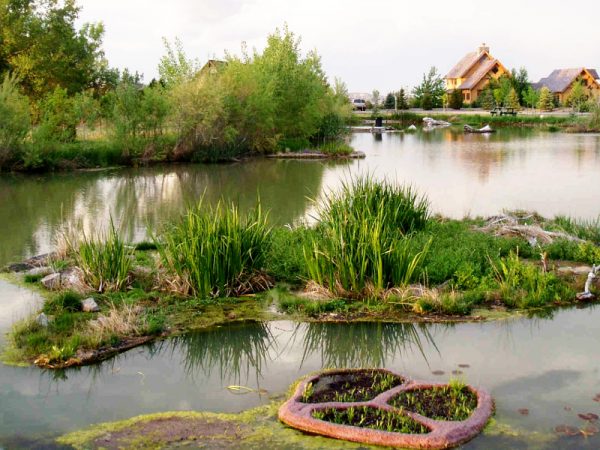 Floating Islands